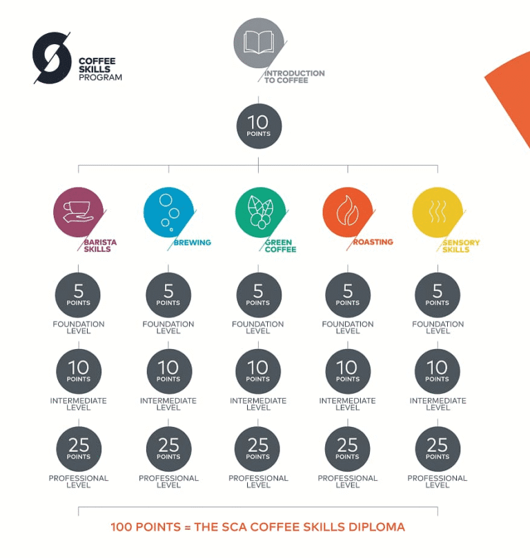 Specialty Coffee Association (SCA): A Autoridade Mundial em Café Especial