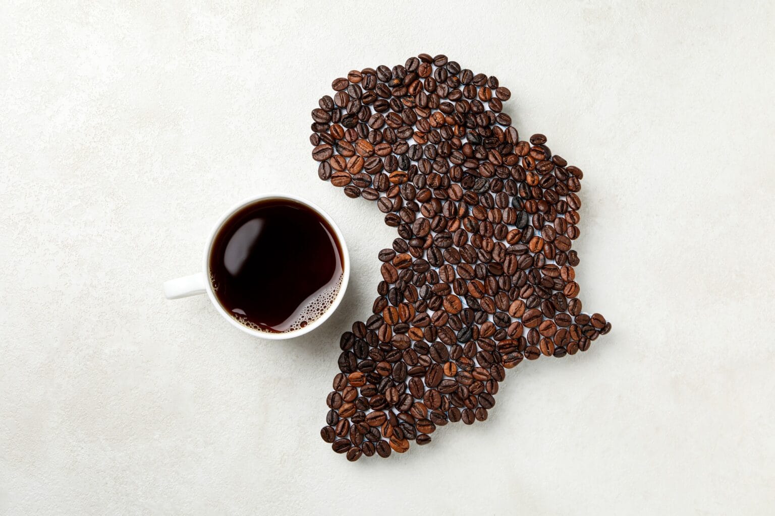 Café Geisha: Tudo Sobre o Grão Mais Caro do Mundo - Santo Cafezinho